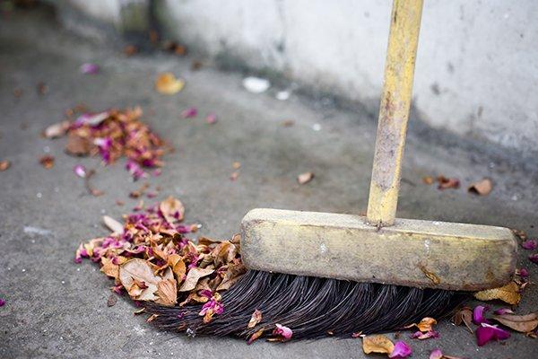 Blog - Spring Cleaning Tips To Keep Your South Carolina Home Pest-Free